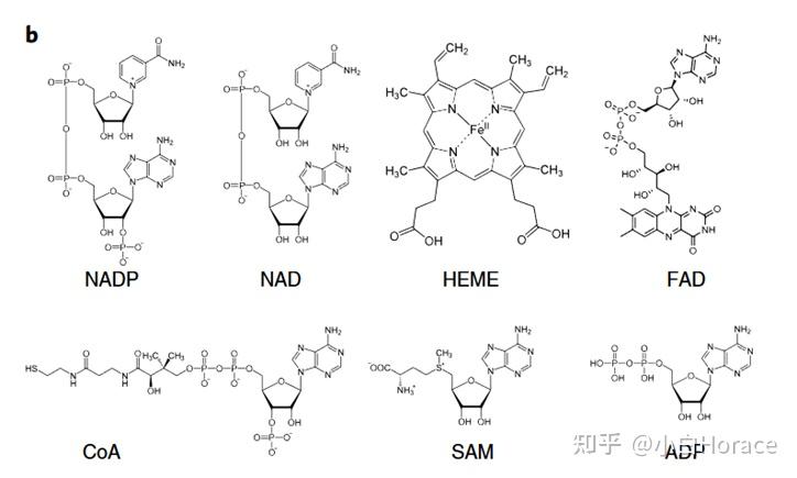 【AIDD系列】MaSIF系列论文详解，揭开蛋白表面指纹的面纱 - 知乎