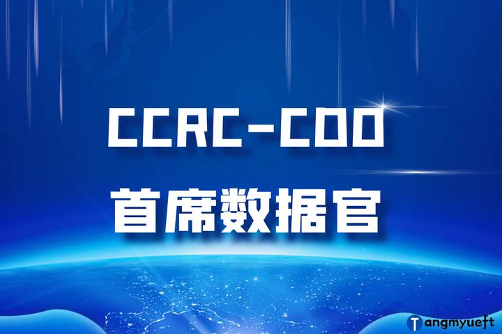 CCRC-CDO首席数据官 - 知乎
