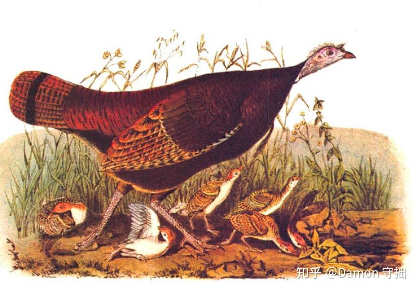 《影响力》营销必读 - 知乎