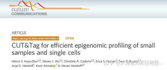 一文看懂CUT&Tag技术|解锁比ChIP-seq更精准高效的DNA和蛋白质互作研究 - 知乎