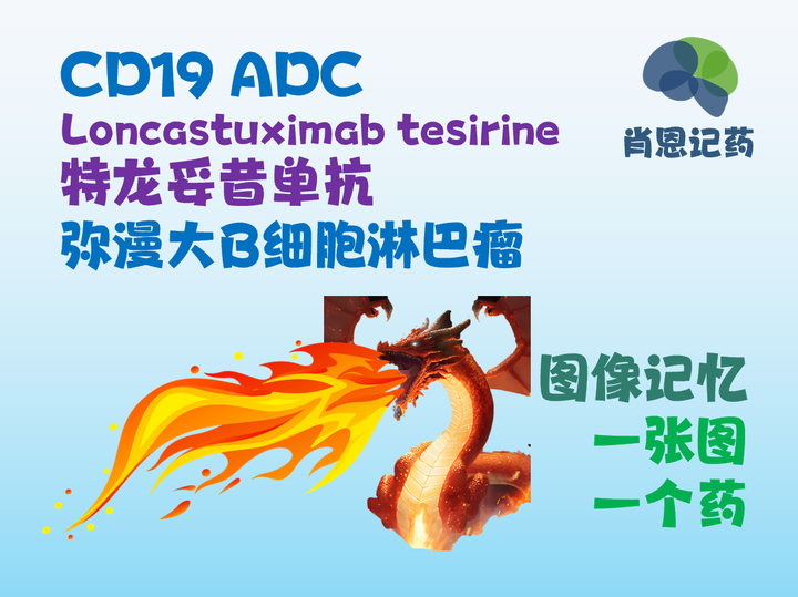 记住所有FDA生物药 | CD19 ADC | Loncastuximab tesirine | 弥漫大B细胞淋巴瘤 - 知乎