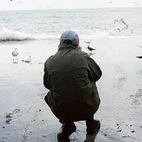 Windows下vscode实现pretty-print - 知乎