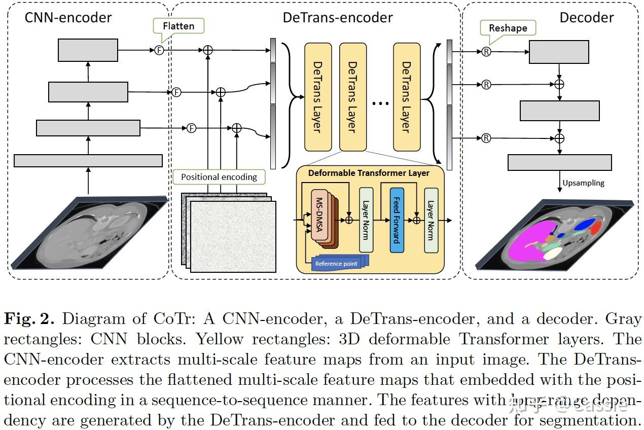 [论文笔记]CoTr: Efficiently Bridging CNN and Transformer for 3D Medical ...