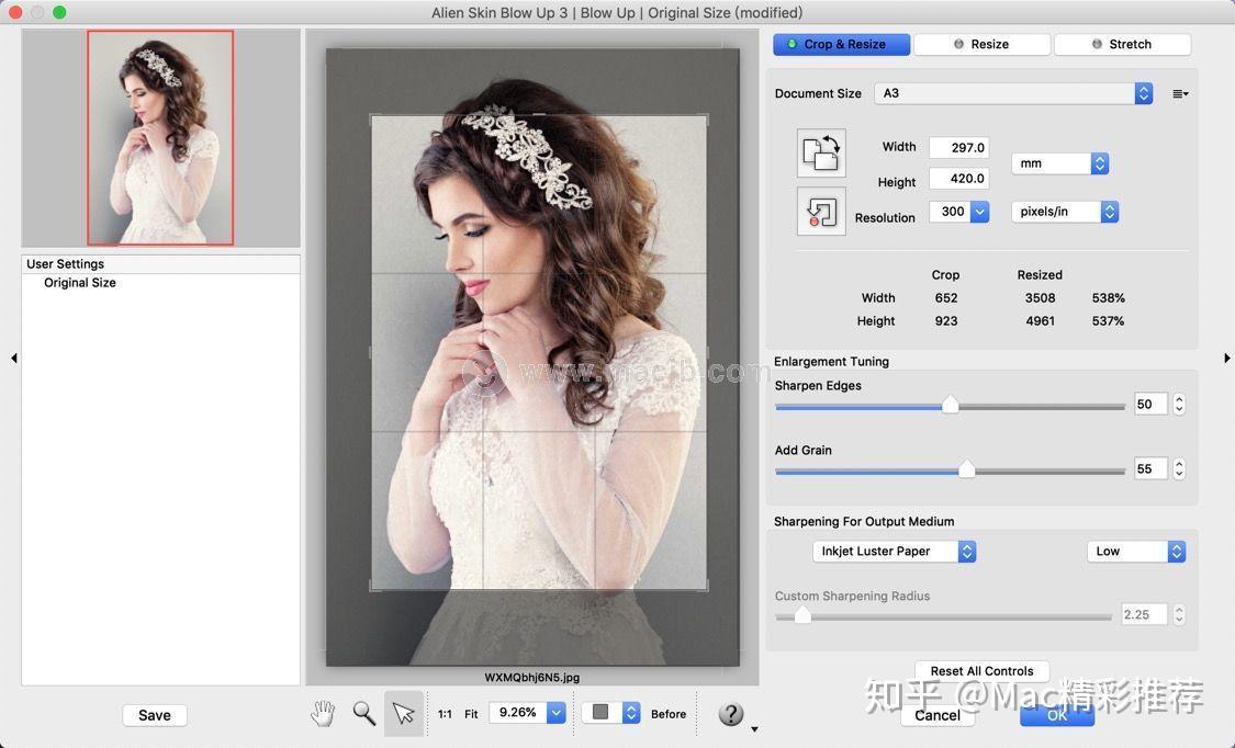 Alien Skin Blow Up 3 for mac(PS照片无损放大软件) - 知乎