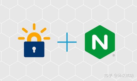 Sectigo RSA Domain Validation Secure Server CA数字证书申请 - 知乎