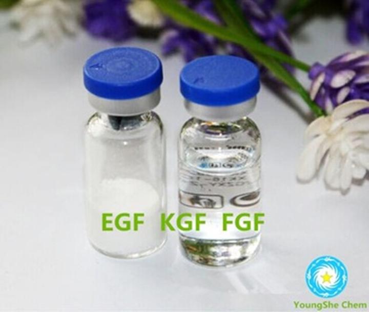 重组人碱性成纤维细胞生长因子（rh-bFGF）化妆品原料 - 知乎