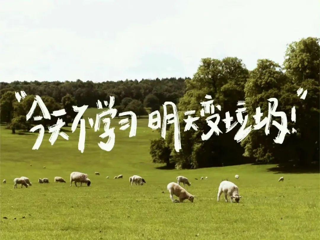 励志的电脑壁纸 - 知乎