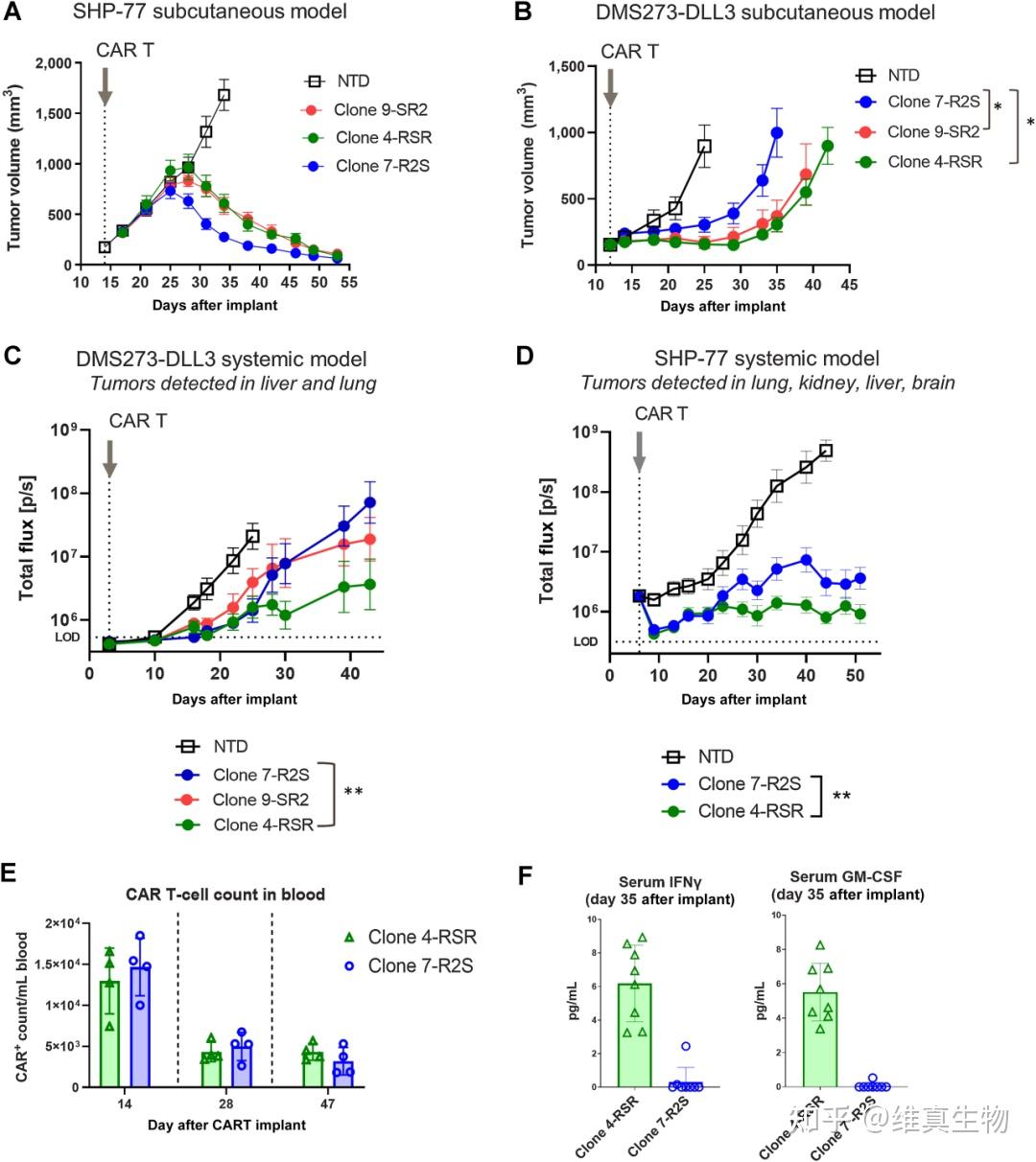 IL-7、IL-15细胞因子在CAR-T细胞疗法中发挥什么作用？ - 知乎
