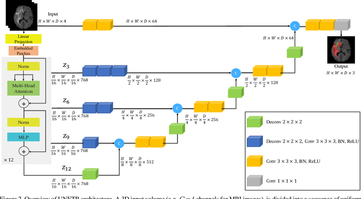 【WACV 2022】UNETR：用于 3D 医学图像分割的Transformer（research-contributions） - 知乎