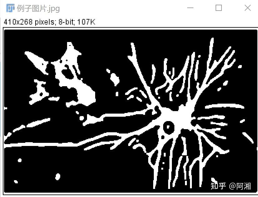 ImageJ分析细胞形态 - 知乎
