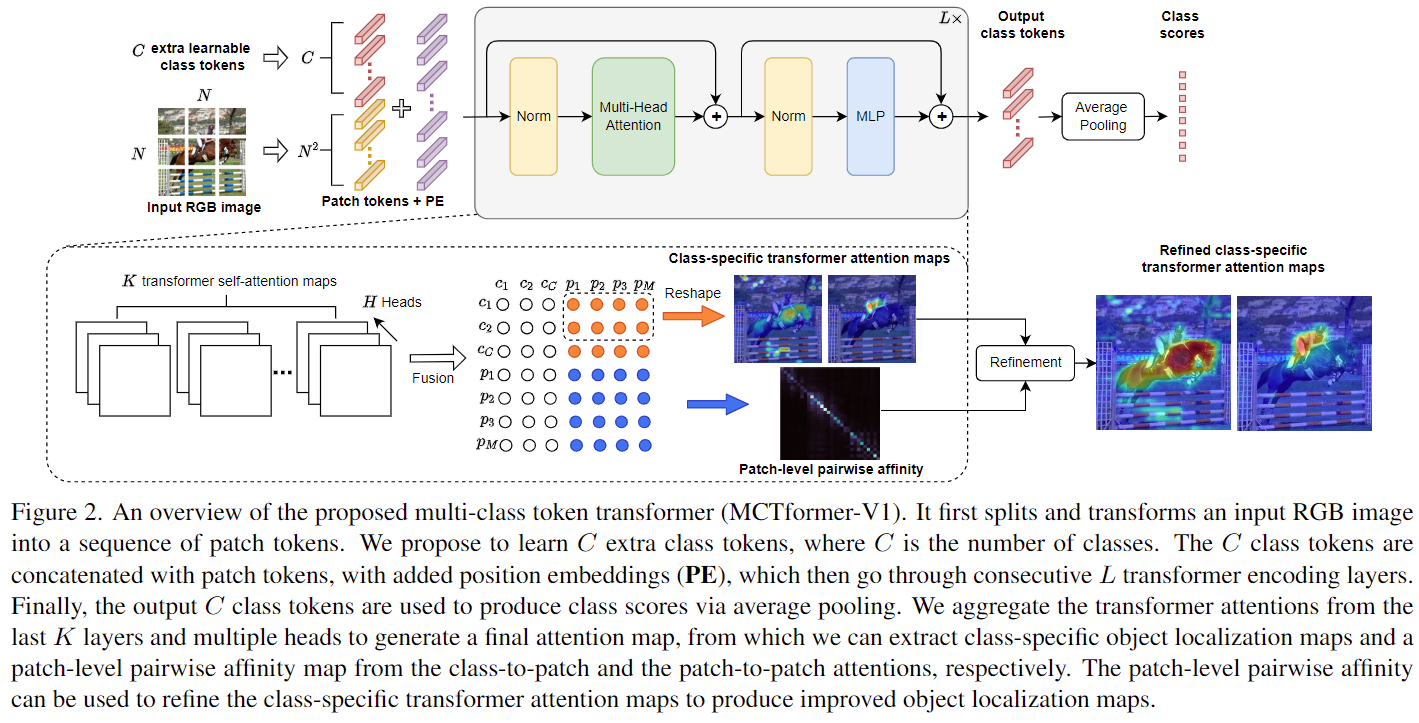 【论文阅读】《Multi-class Token Transformer for Weakly Supervised Semantic Segmentation(CVPR2022)》 - 知乎