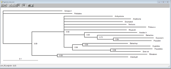 mrbayes教程：系统发育树的构建 - 知乎
