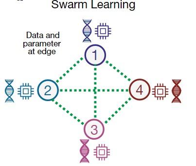 群体学习Swarm Learning （SL） - 知乎