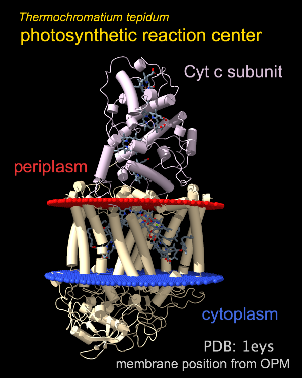高质量Chimera作图教程 - 知乎