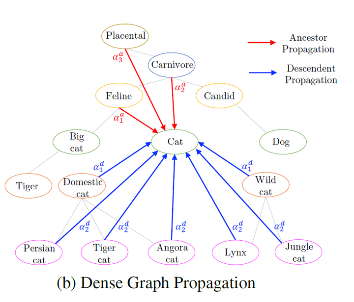 【论文笔记】Attentive Dense Graph Propagation Module - 知乎