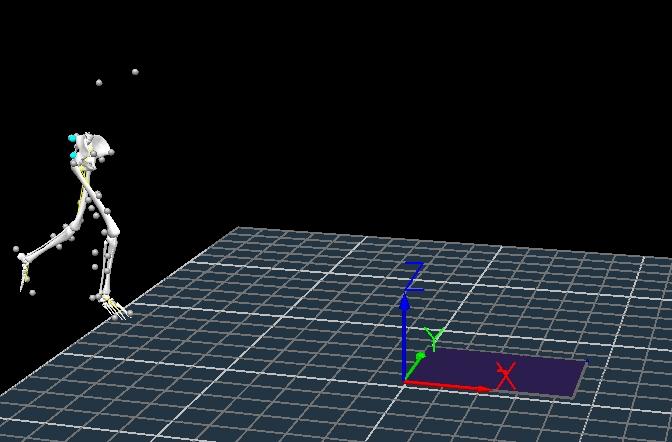 Plug-In Gait Lower Limb - 知乎