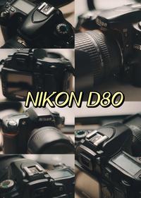 尼康D80|入门百元单反|links推荐CCD机皇 - 知乎