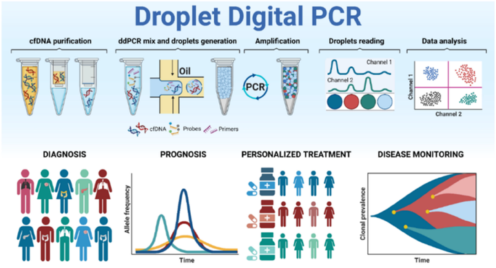 数字PCR在肿瘤液体活检中的应用：分而治之 - 知乎