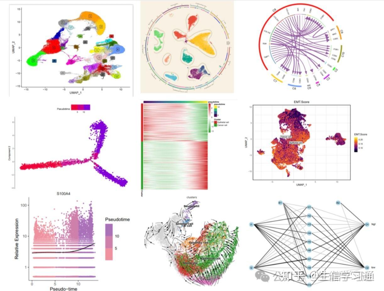 生信sci发文套路汇总（涵盖几乎所有常见生信sci研究路线） - 知乎