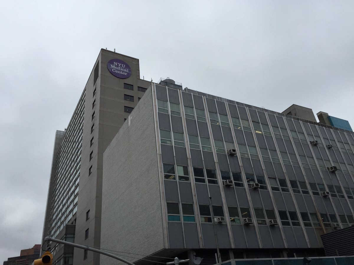 报考纽约大学阿布扎比分校（NYUAD）需要做哪些准备？ - 知乎