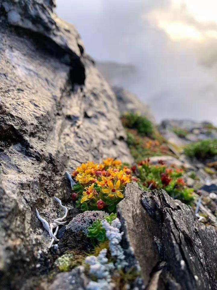 上海港危险品UN2734正乙胺出口意大利流程 - 知乎