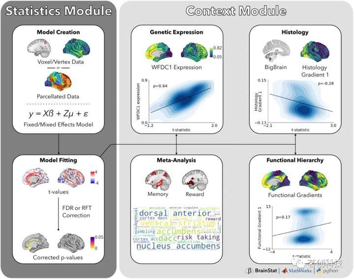 BrainStat：用于全脑统计和多模态特征关联的工具箱 - 知乎