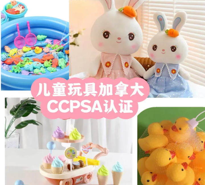 儿童产品/玩具加拿大SOR认证/CCPSA认证标准大全，SOR资质上传指引 - 知乎