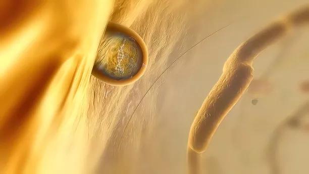 论文如何发表:NATURE STRUCTURAL & MOLECULAR BIOLOGY - 知乎