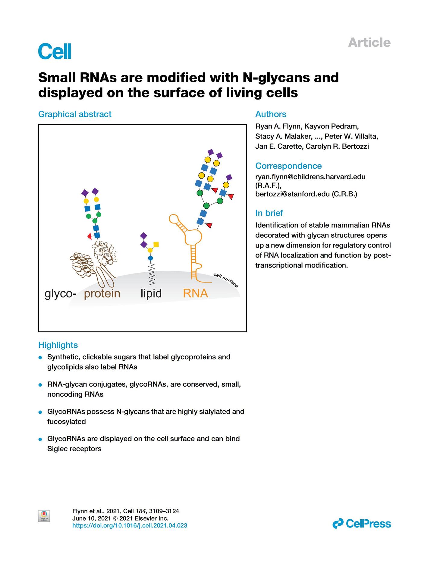 GlycoRNA-seq：RNA糖基化修饰，表观转录组的新星 - 知乎