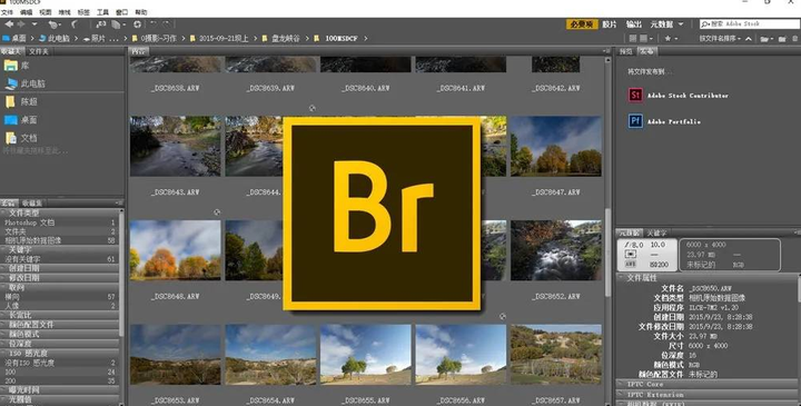 Adobe Bridge BR2025百度云网盘下载与安装教程指南 - 知乎