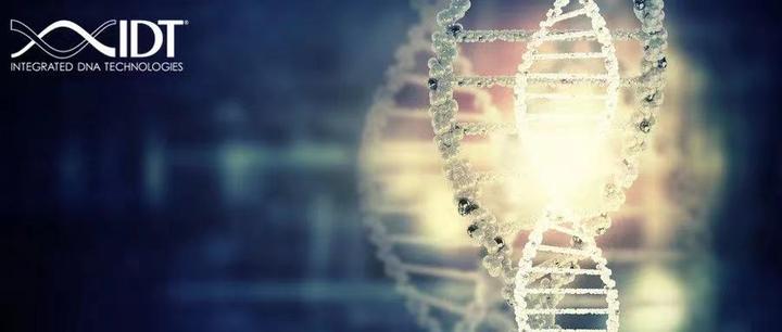 IDT埃德特xGen人全外显子V2 Panel在MGISEQ-2000平台中展现出卓越测序效果 - 知乎