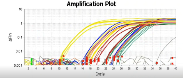 qPCR实验概述 - 知乎