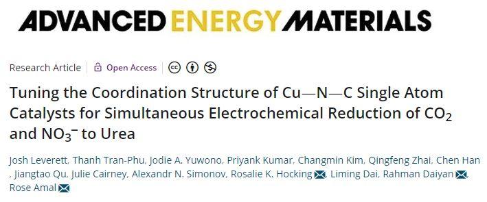 计算+实验：李亚栋，白正宇，武刚，Rose Amal，姜政等 - 知乎