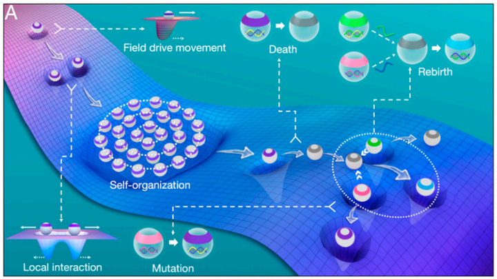 论文阅读2-Robots as models of evolving systems - 知乎