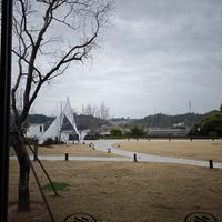 2025，MoonBit的三座高峰 - 知乎