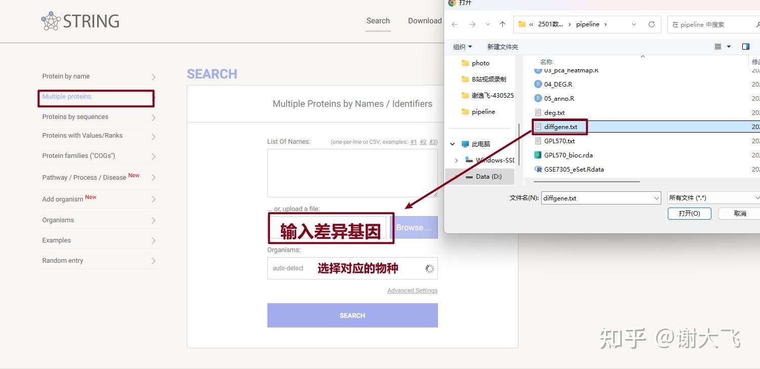 STRING网站：蛋白互作分析的高效利器 - 知乎