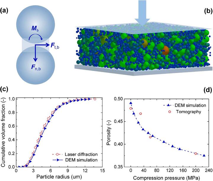 【Simpleware】离散元方法和通过 X 射线计算机断层扫描表征的锂离子正极结构电化学建模 - 知乎