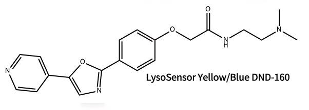 LysoSensor Yellow/Blue DND-160黄/蓝色溶酶体荧光探针试剂的相关内容 - 知乎
