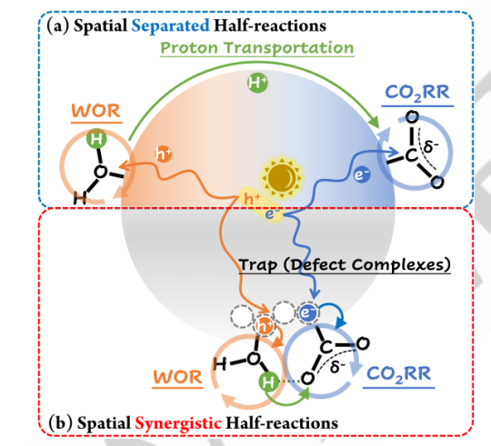 新进展||中科院Angew:空间协同加速光催化CO2还原和H2O氧化 - 知乎