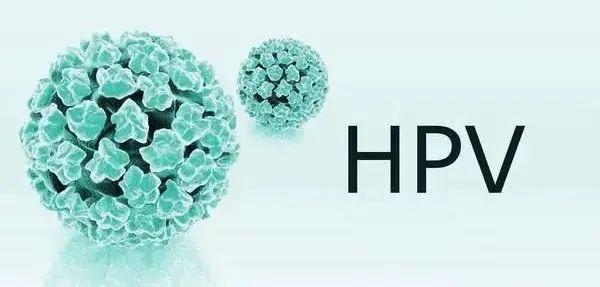 感染了HPV，我到底应该怎么办？ - 知乎