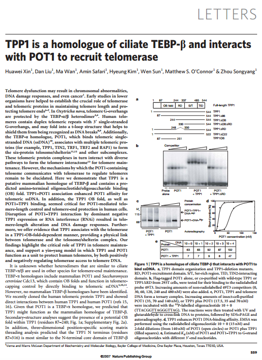 【文献翻译】TPP1是纤毛虫TEBP-β的同源物并与POT1相互作用募集端粒酶 - 知乎