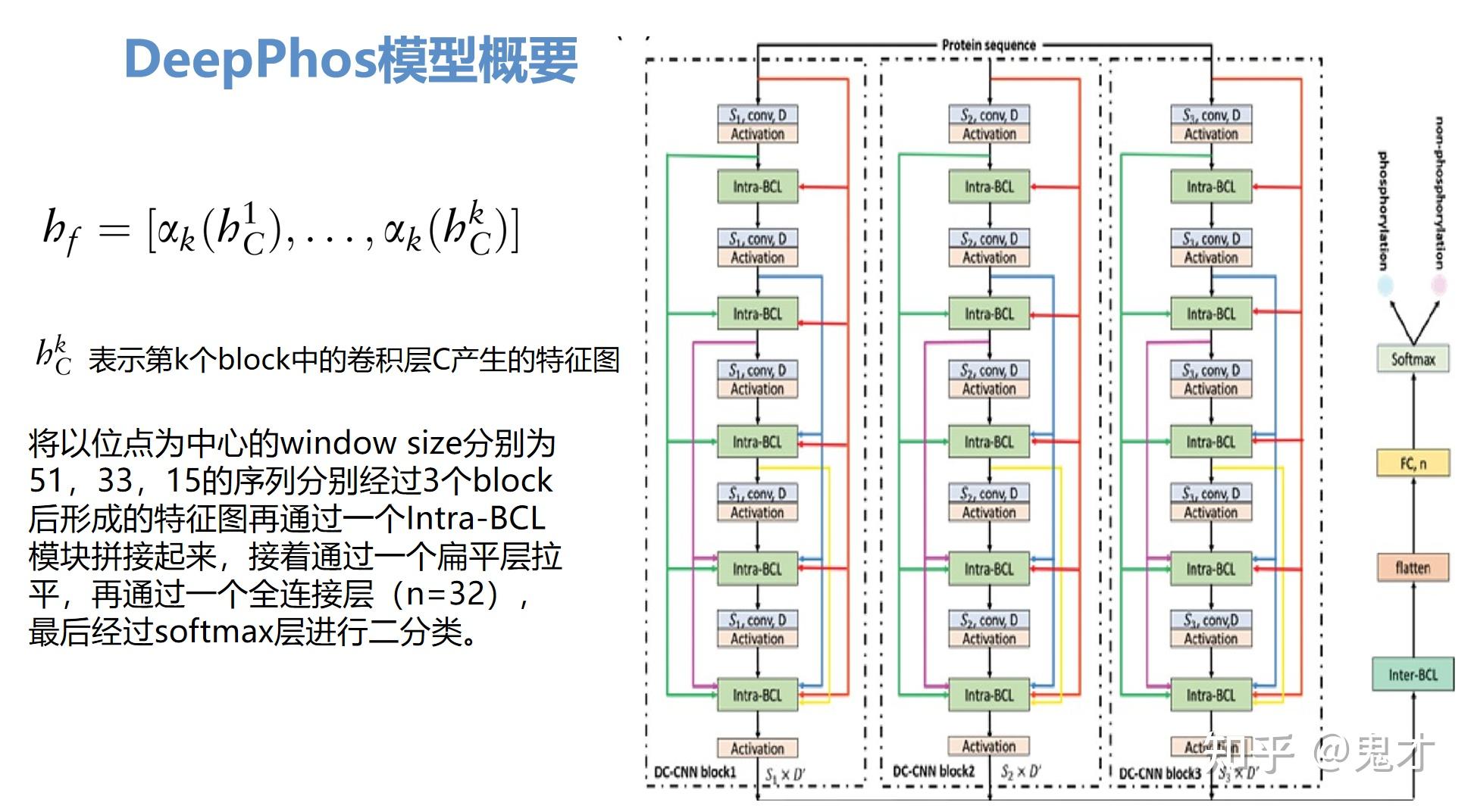DeepPhos：基于CNN的蛋白质磷酸化位点预测模型 - 知乎