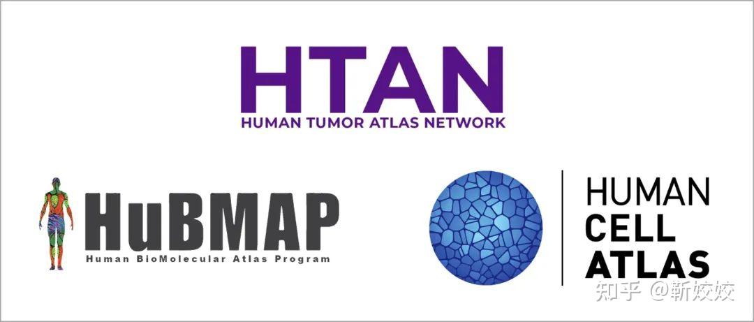 你所知道或不知道的三个人类图谱工作联盟（HuBMAP，HTAN，HCA）和图谱创建那些事 - 知乎