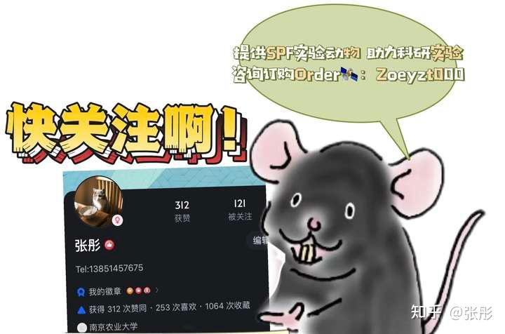 𝗱𝗯/𝗱𝗯和𝗼𝗯/𝗼𝗯两种糖尿病模型小鼠区别及如何选择 - 知乎