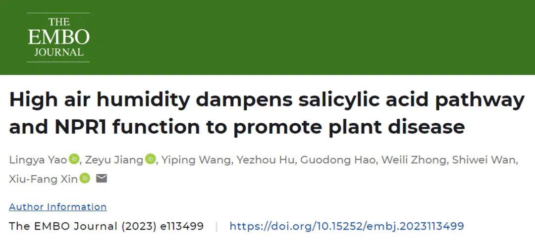 The EMBO Journal秀芳团队揭示高空气湿度抑制植物免疫和促进病害的新机制 - 知乎