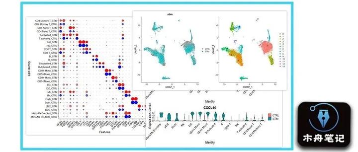Seurat 4.0 | 单细胞转录组数据整合(scRNA-seq integration) - 知乎