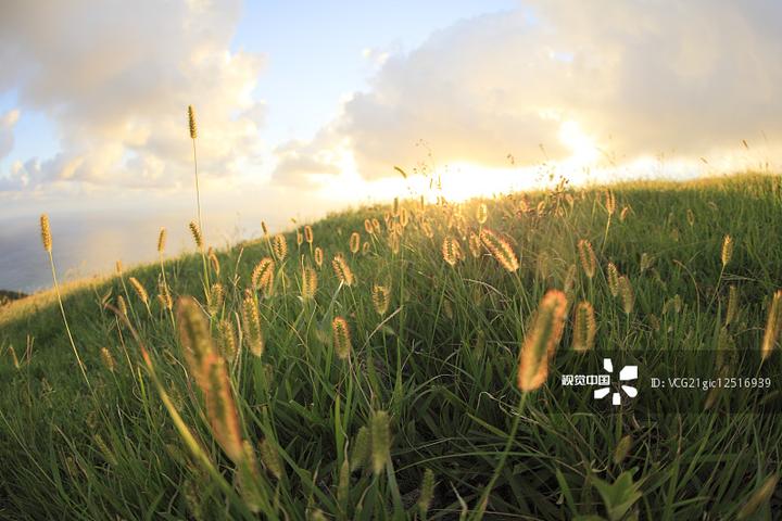 YOLOv5、YOLOv7改进之三十：引入10月4号发表最新的Transformer视觉模型MOAT结构 - 知乎