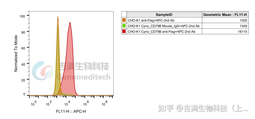 CD79b：B细胞信号传导与疾病治疗的核心密码 - 知乎