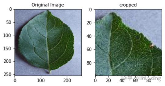 数据增强（Data Augmentation）极易教程 - 知乎