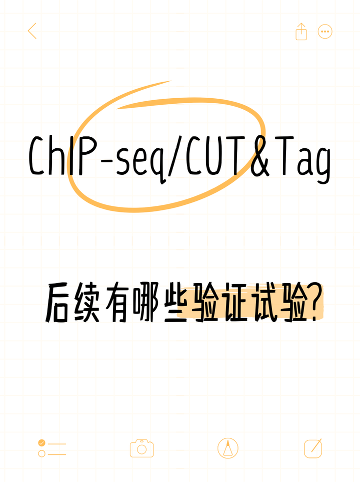 ChIP-seq/CUT&Tag后续有哪些验证试验？ - 知乎